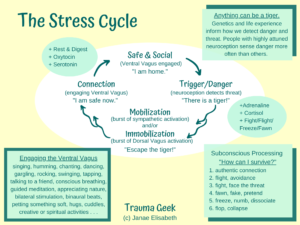 Embracing a Life of Wellness – Made to Be